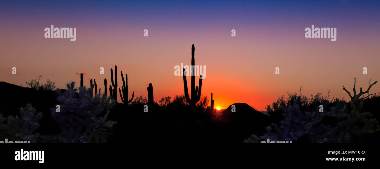 Saguaro sunset hi-res stock photography and images - Alamy