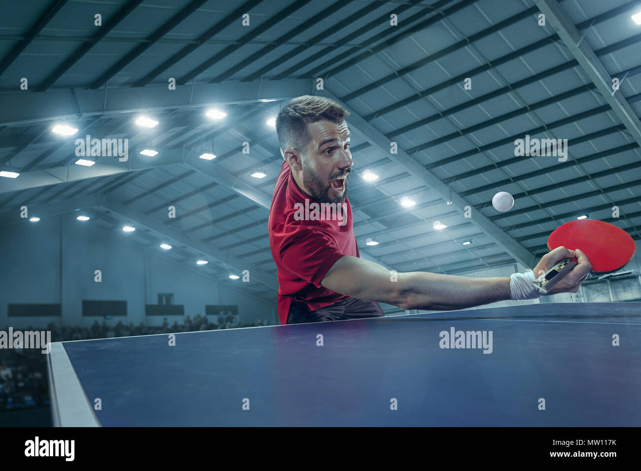 The table tennis player serving Stock Photo - Alamy