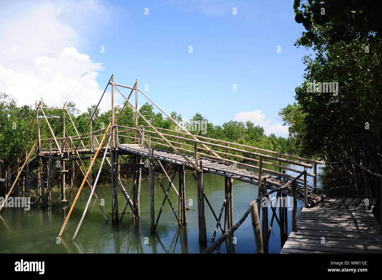 Mangrove bridge hi-res stock photography and images - Alamy