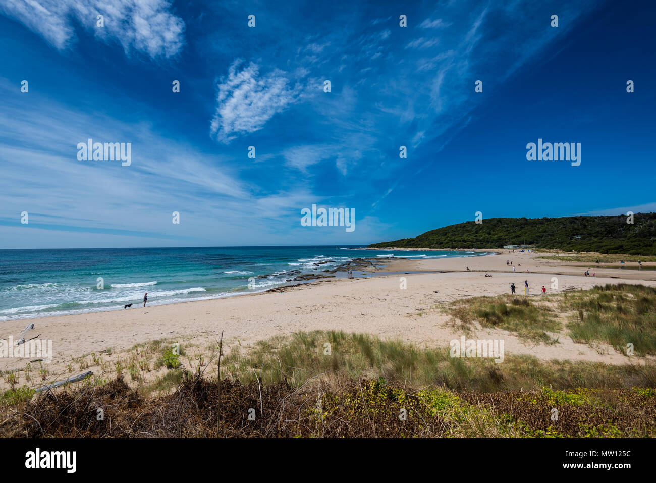 Views over the Pacific Ocean along the Great Ocean Road, Victoria ...