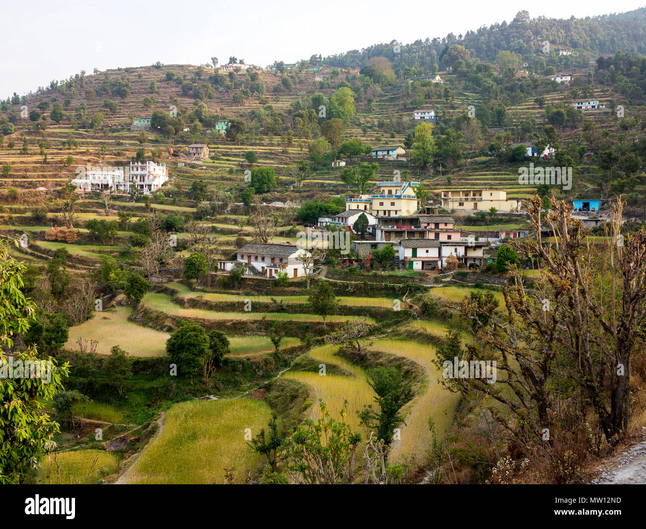 Kala Agar Village on Kumaon Hills, Uttarakhand, India Stock Photo - Alamy