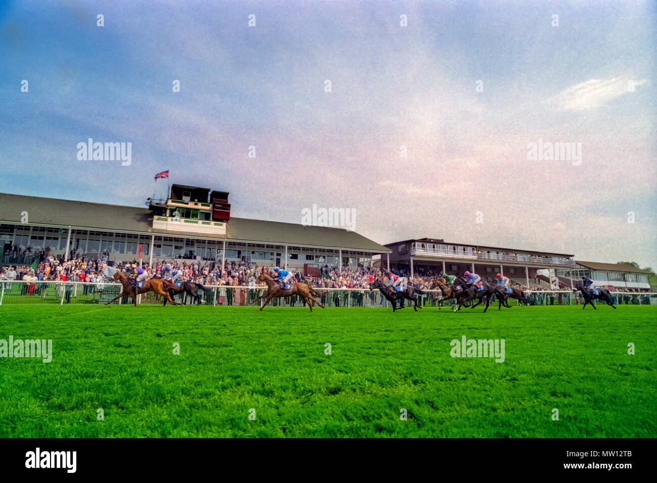 Racing at lingfield hi-res stock photography and images - Alamy
