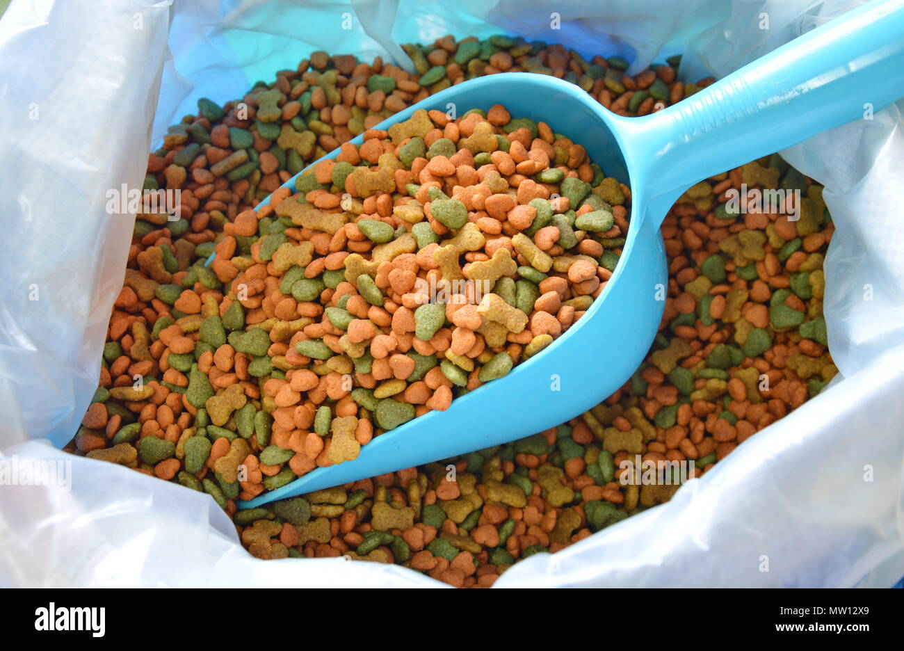dog food in blue plastic scoop Stock Photo - Alamy