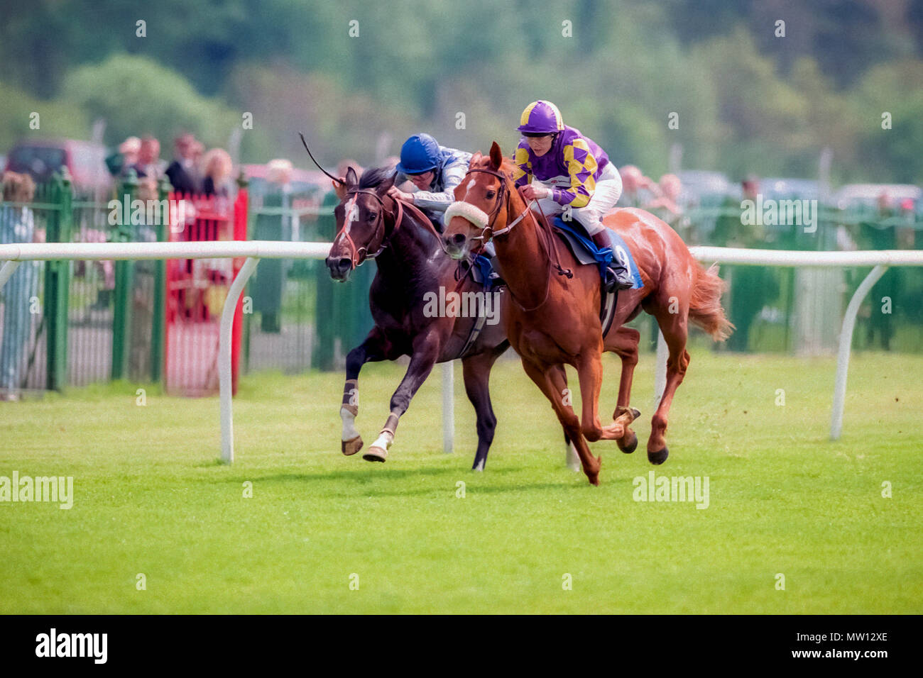 Jockey lingfield hi-res stock photography and images - Alamy