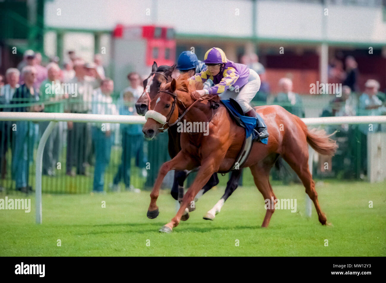 Jockey lingfield hi-res stock photography and images - Alamy