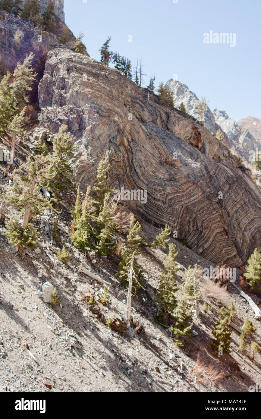 Layers of rock on the side of a mountain in California Stock Photo - Alamy