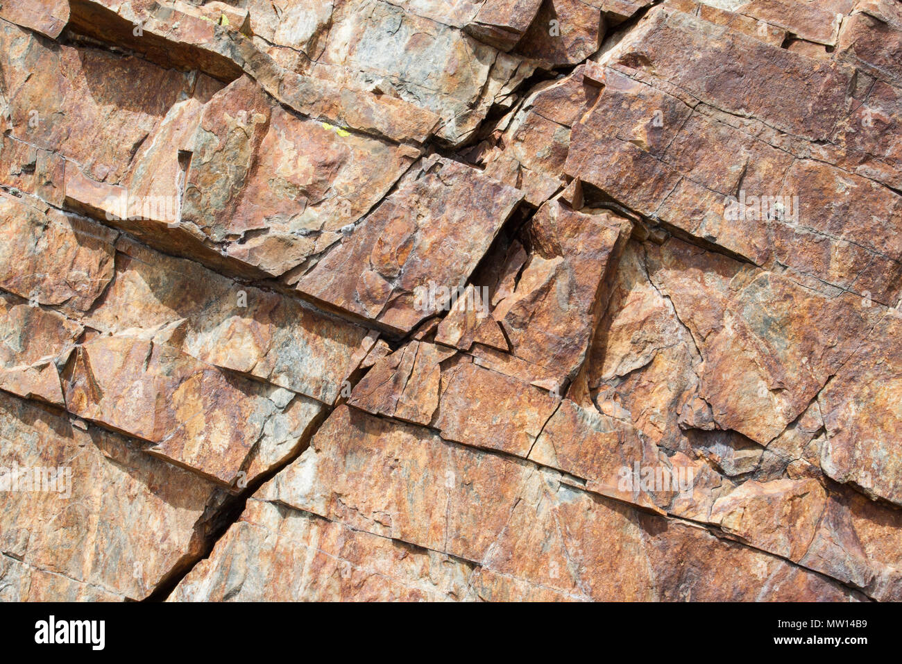 Exploring texture in nature hi-res stock photography and images - Alamy