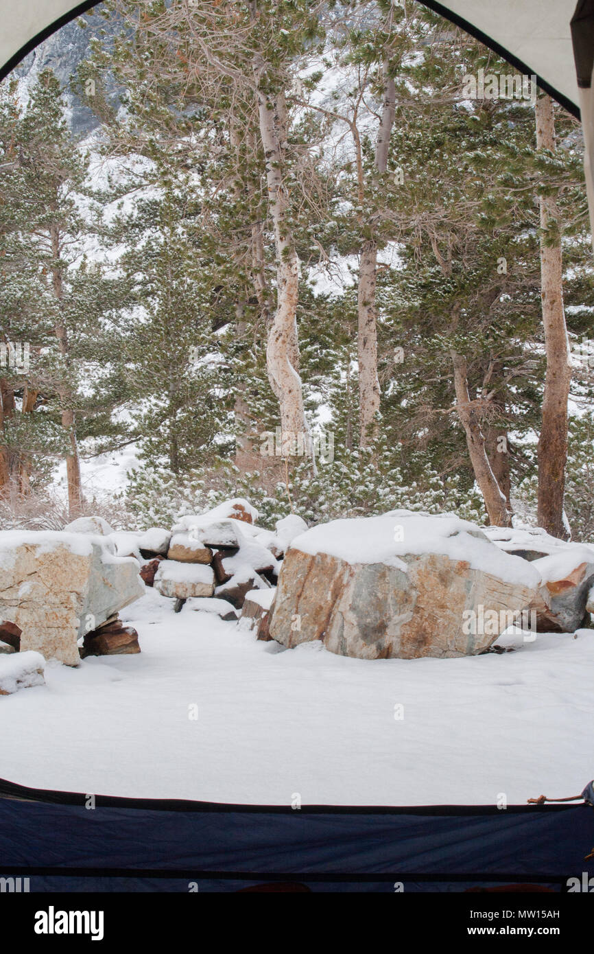 A snow covered campsite seen from the inside of a tent in California ...