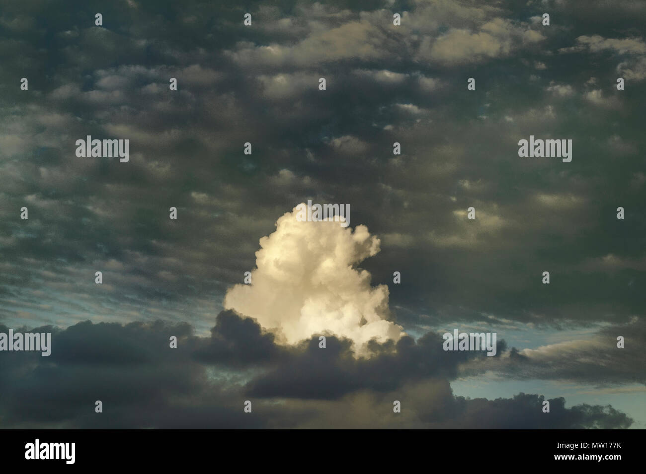 sky - clouds - blue - fauna - natural wiev Stock Photo - Alamy