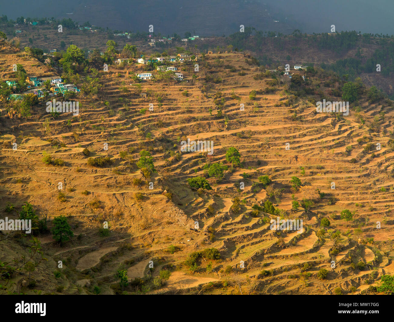 Sanouli Village, Kumaon Hills, Uttarakhand, India Stock Photo - Alamy