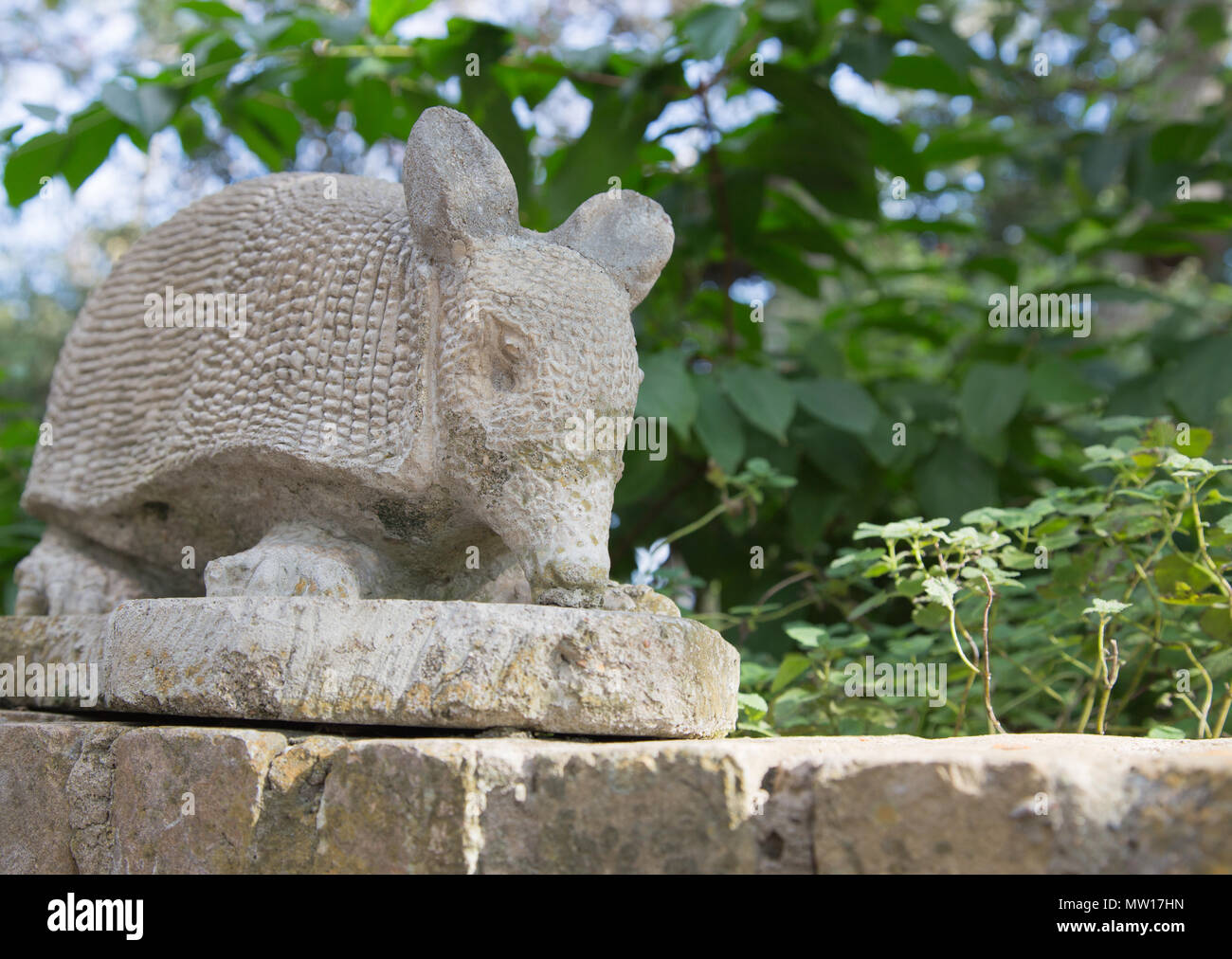 Garden Baby Armadillo statue sitting along edge of garden Stock Photo ...