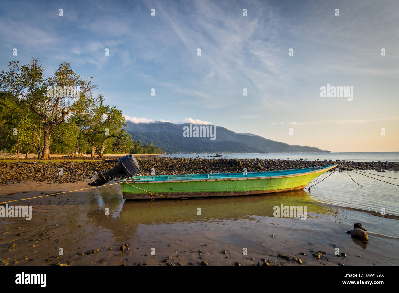 Boat tied to a tree hi-res stock photography and images - Alamy