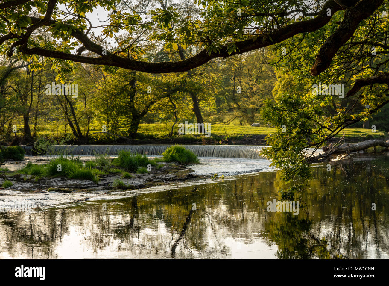 Horseshoe falls wales hi-res stock photography and images - Alamy