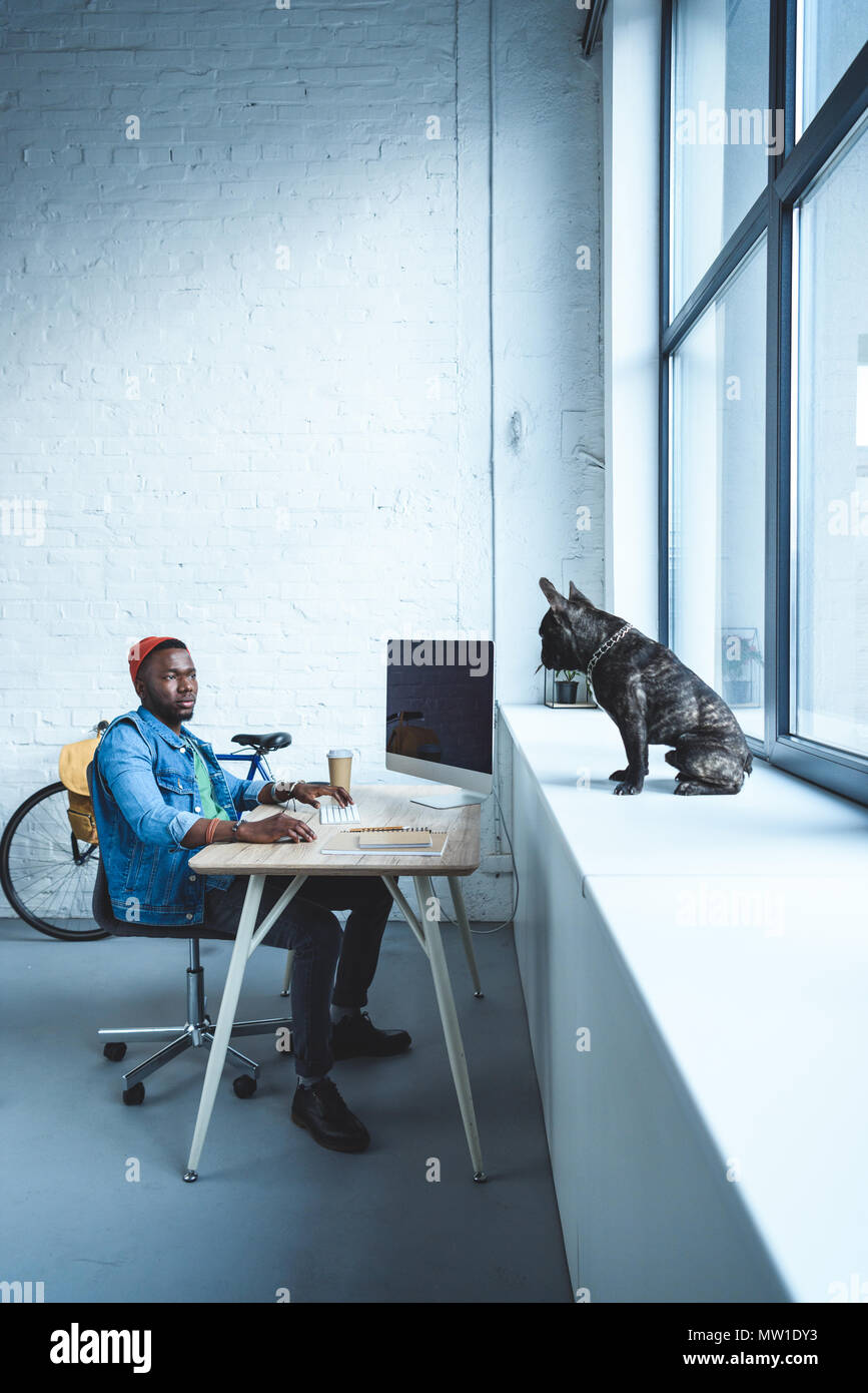 Frenchie to go hi-res stock photography and images - Alamy