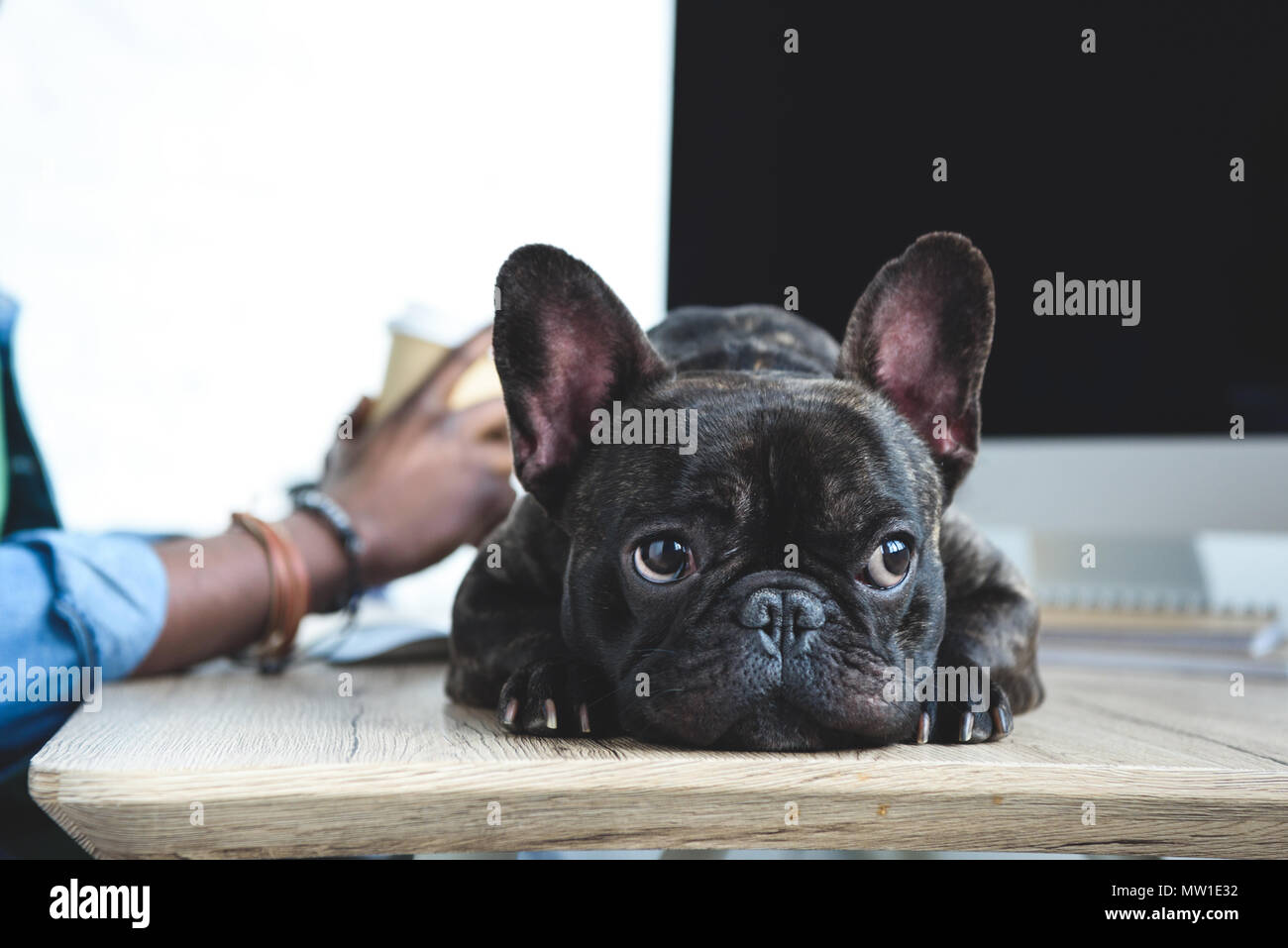 Finish work hi-res stock photography and images - Alamy