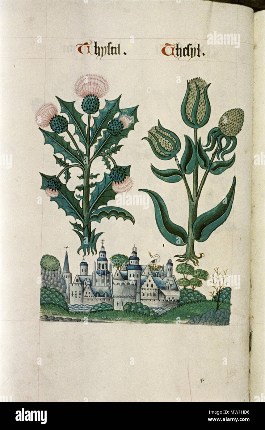 . The Tudor Pattern Book. Bodleian Library, MS. Ashmole 1504 . between ...