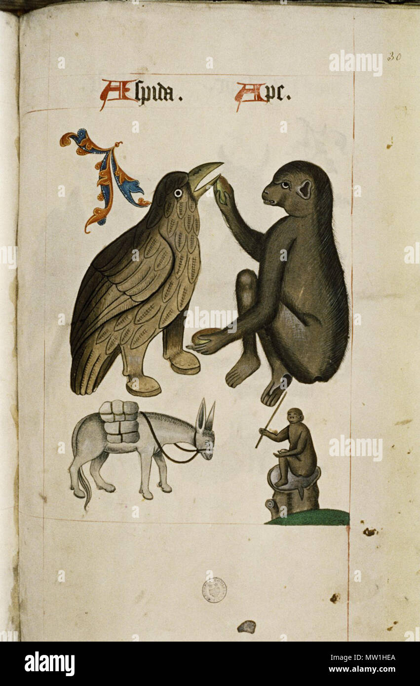 . The Tudor Pattern Book. Bodleian Library, MS. Ashmole 1504 . between ...