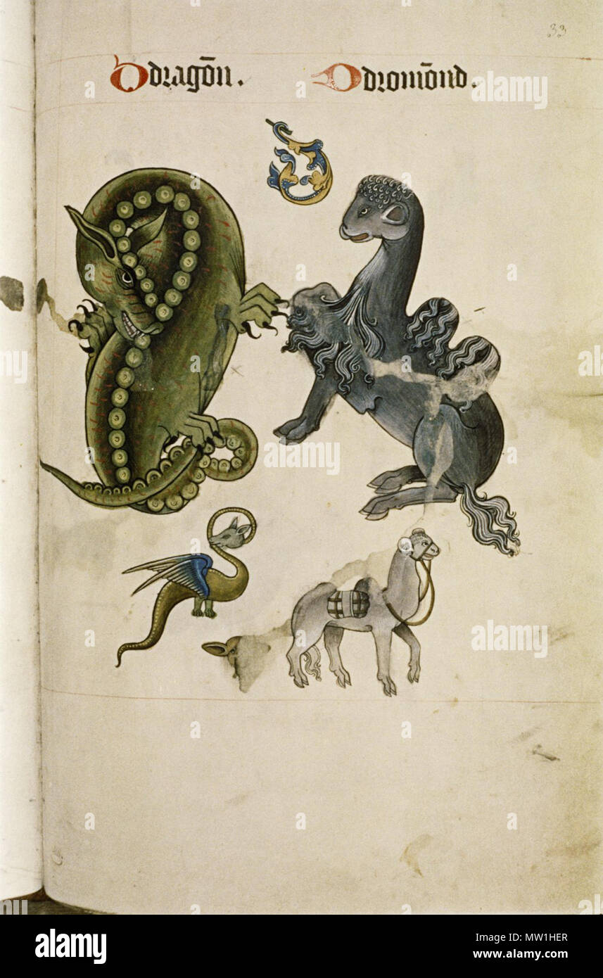 . English: A Komodo dragon and a camel from The Tudor Pattern Book ...