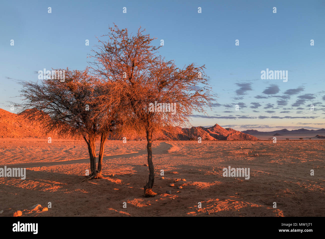 Aus, Namibia, Africa Stock Photo - Alamy