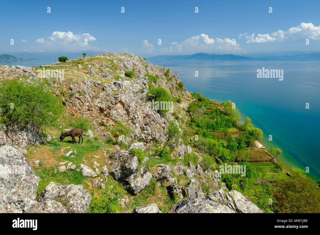 Lake ohrid albania hi-res stock photography and images - Alamy