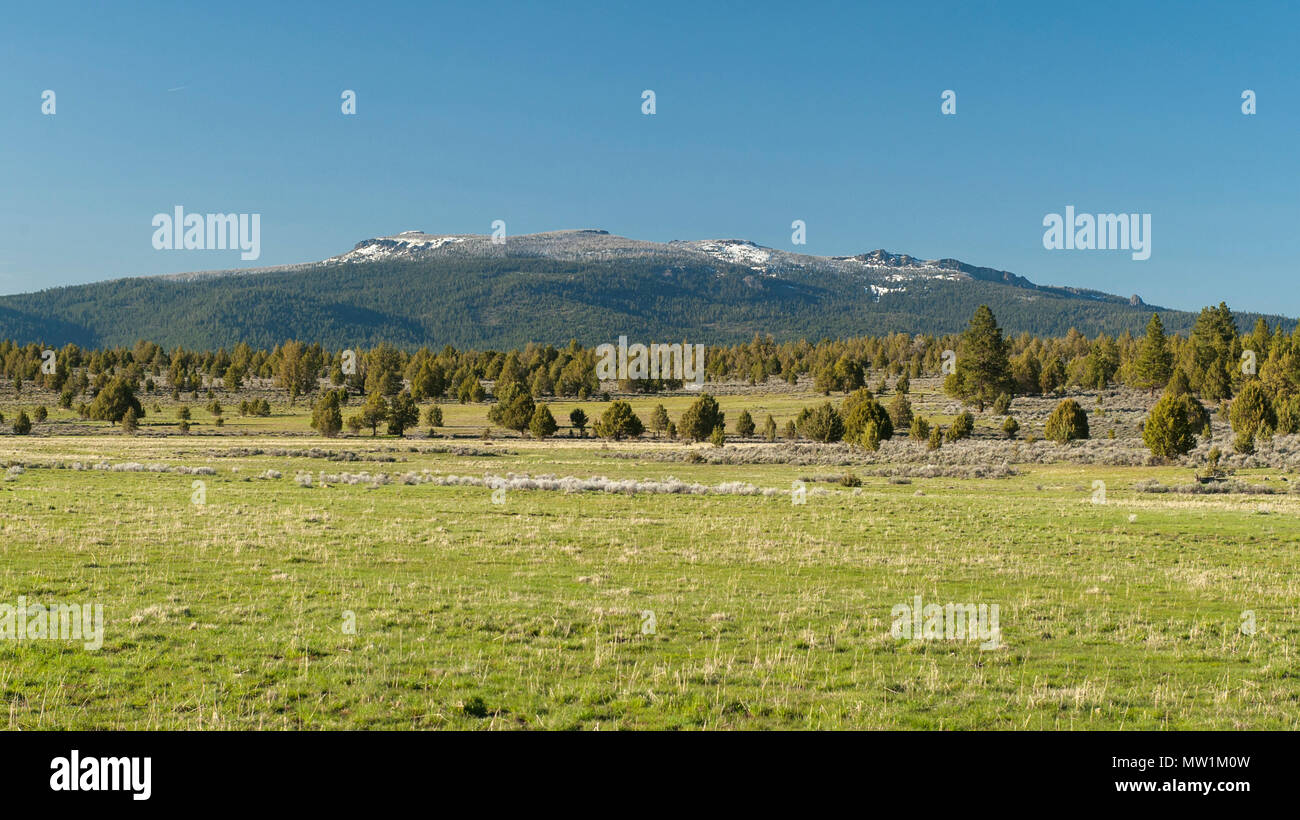Gearhart Mountain, in a Federally-designated Wilderness of the same ...