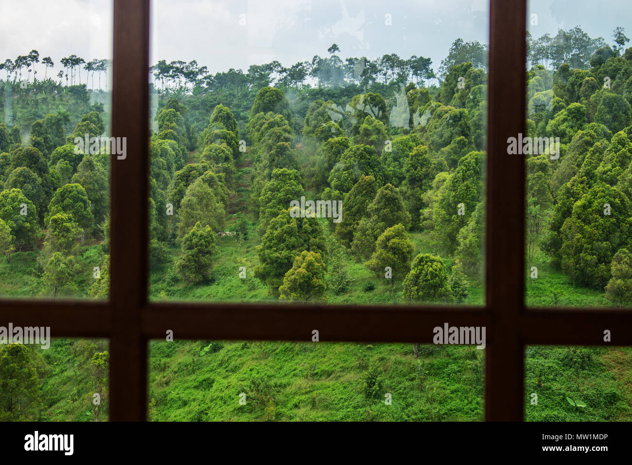 Green Trees Landscape Through Brown Wood Window Stock Photo - Alamy