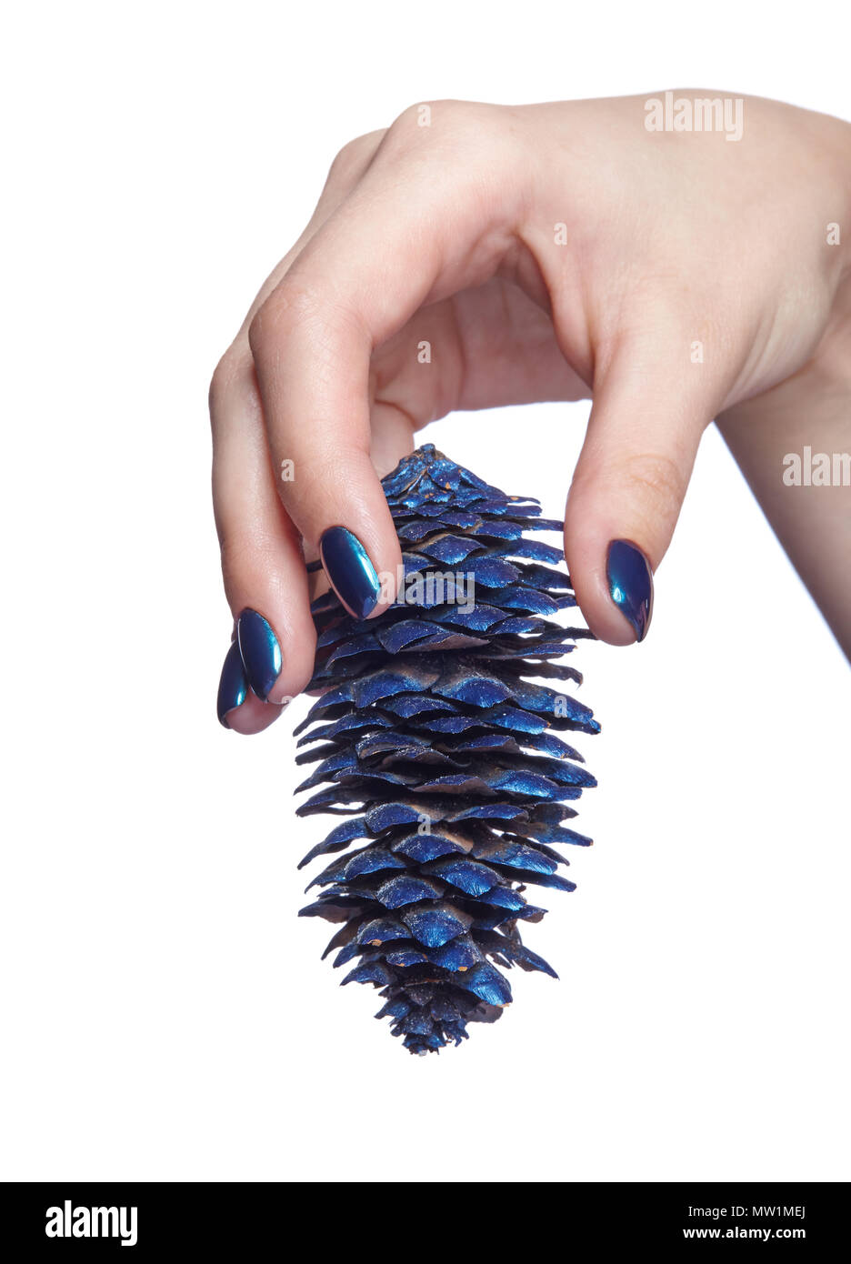 Woman is holding blue Christmas fir-cone. Female fingers with shiny ...