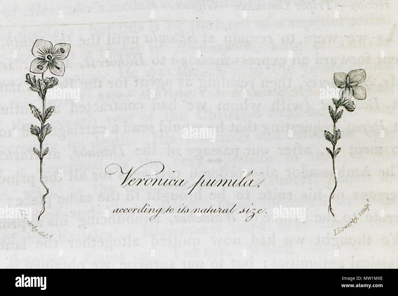 . English: Edward Daniel Clarke. Travels in various countries of Europe ...