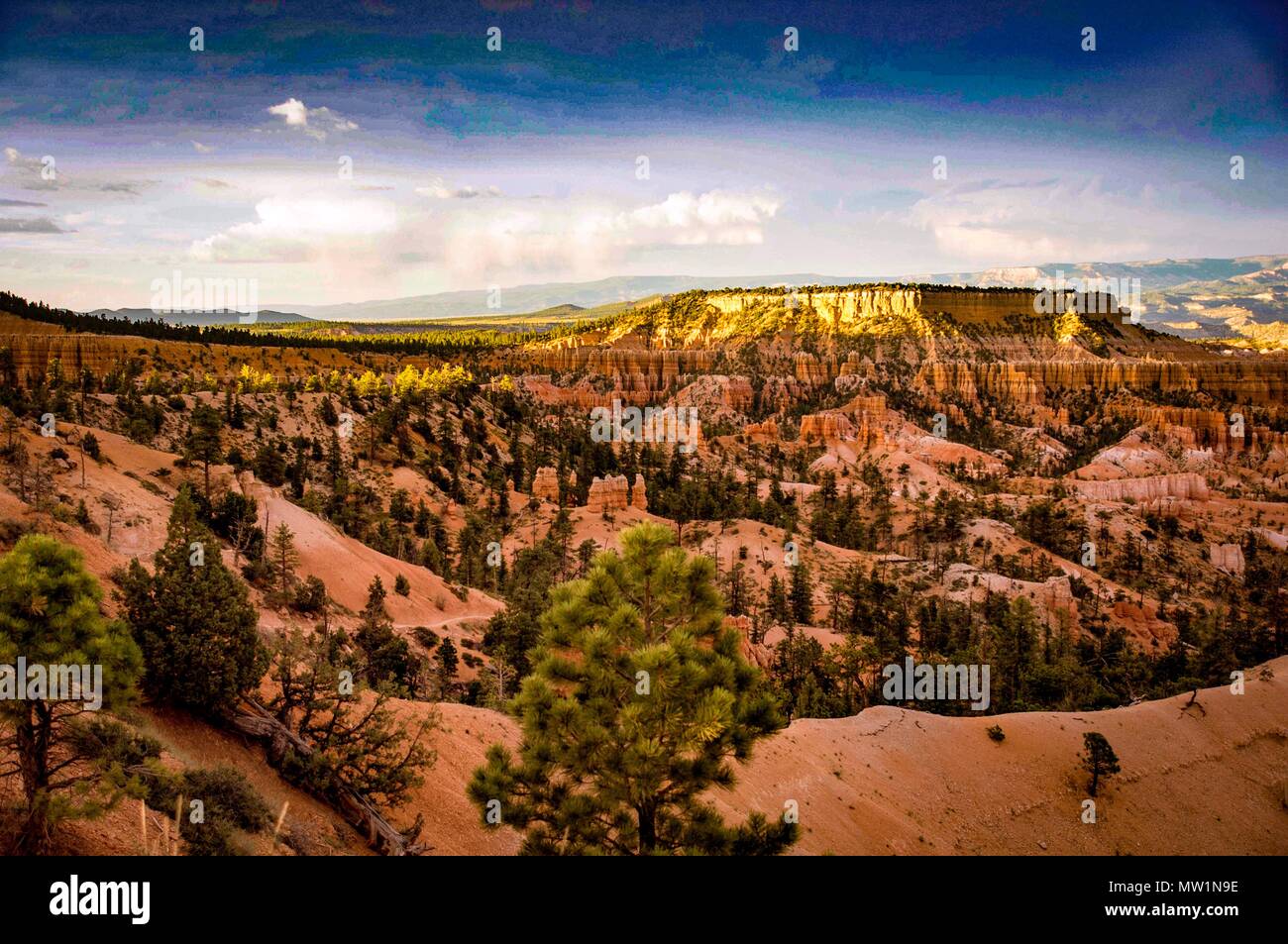 Brycecanyon hi-res stock photography and images - Alamy