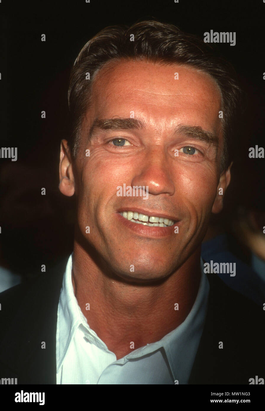 Arnold Schwarzenegger Terminator 2 Smile
