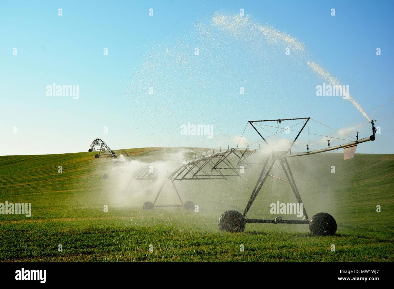 Spray sprinklers hi-res stock photography and images - Alamy