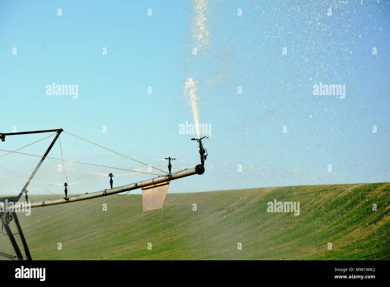 Sprinkler sprinkling hi-res stock photography and images - Alamy