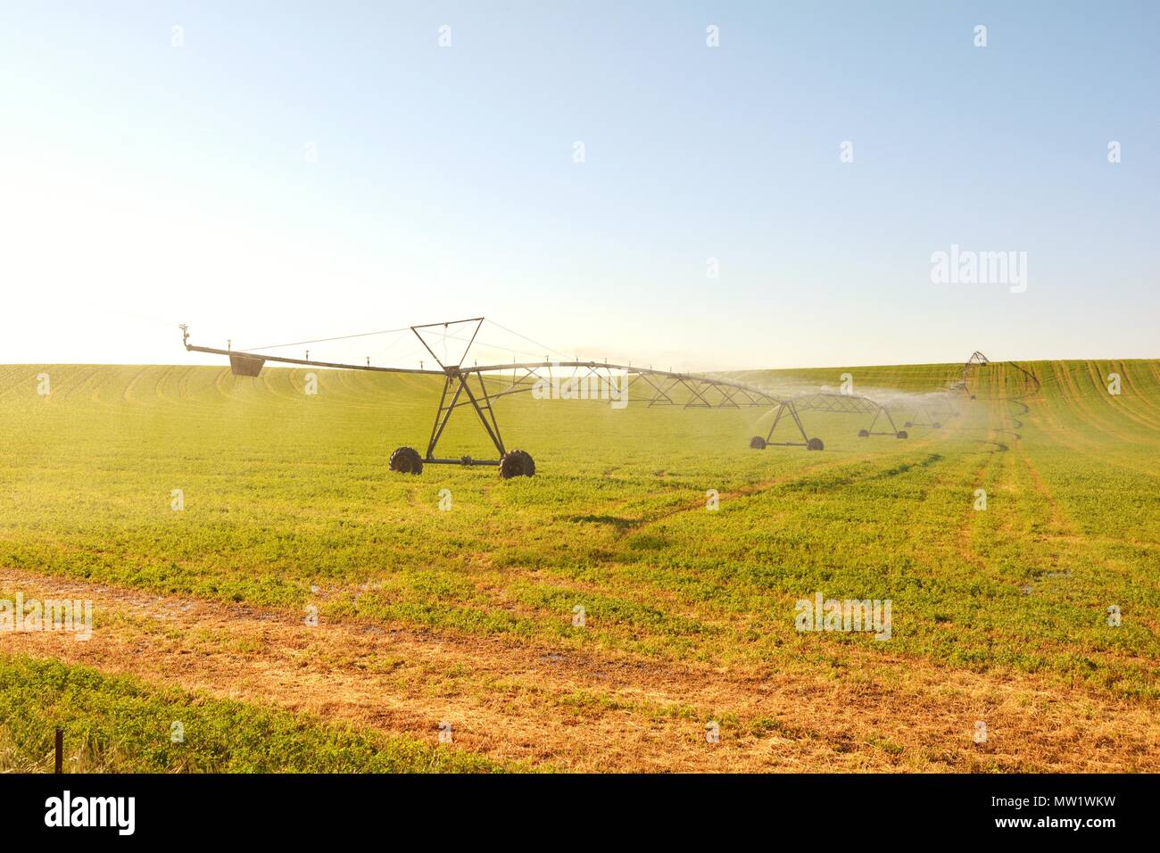 watering by spray, watering by sprinklers, sprinkling, spraying ...