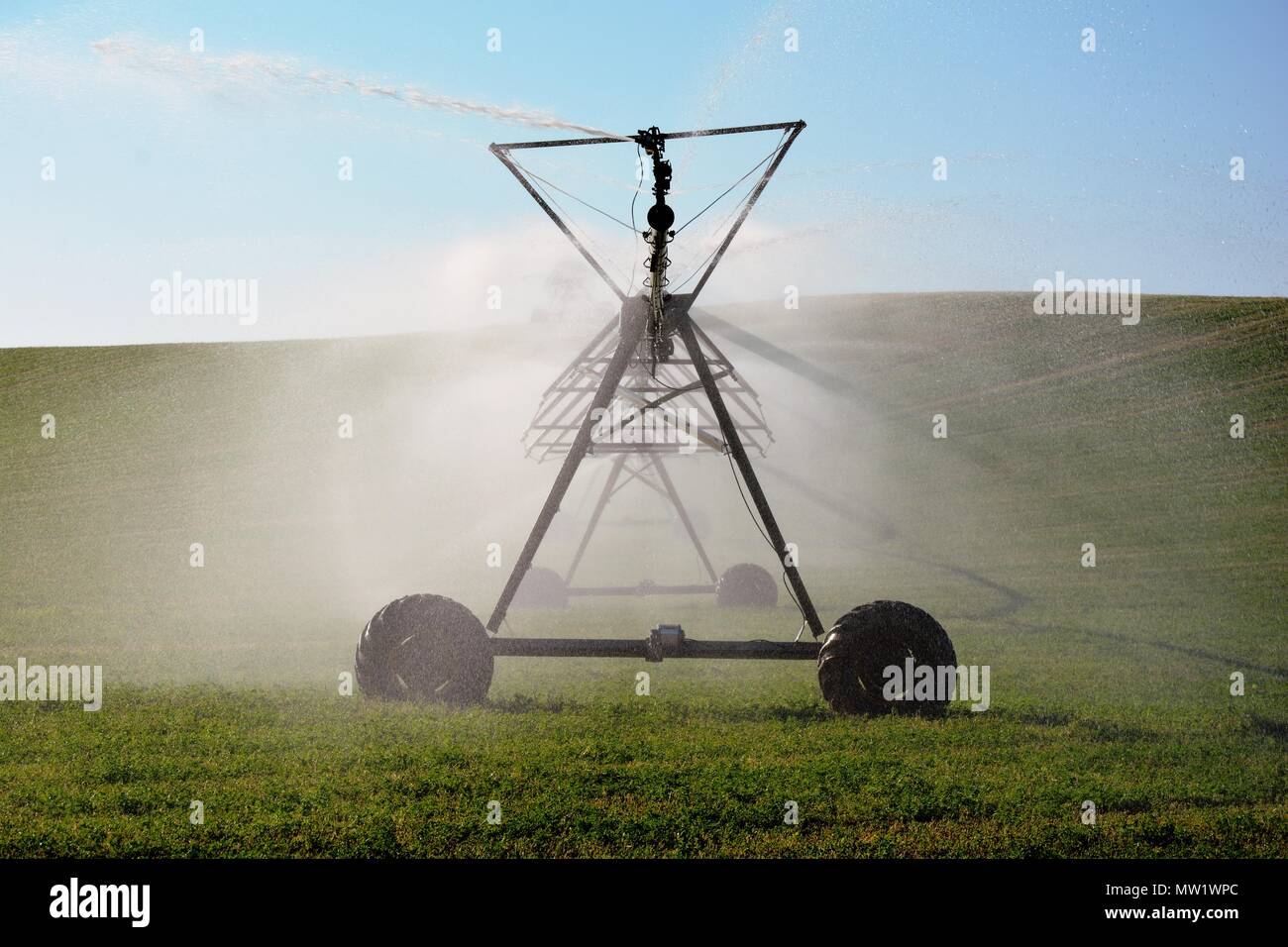 Spray sprinklers hi-res stock photography and images - Alamy