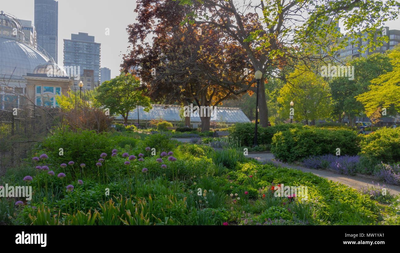 Toronto allen gardens hi-res stock photography and images - Alamy