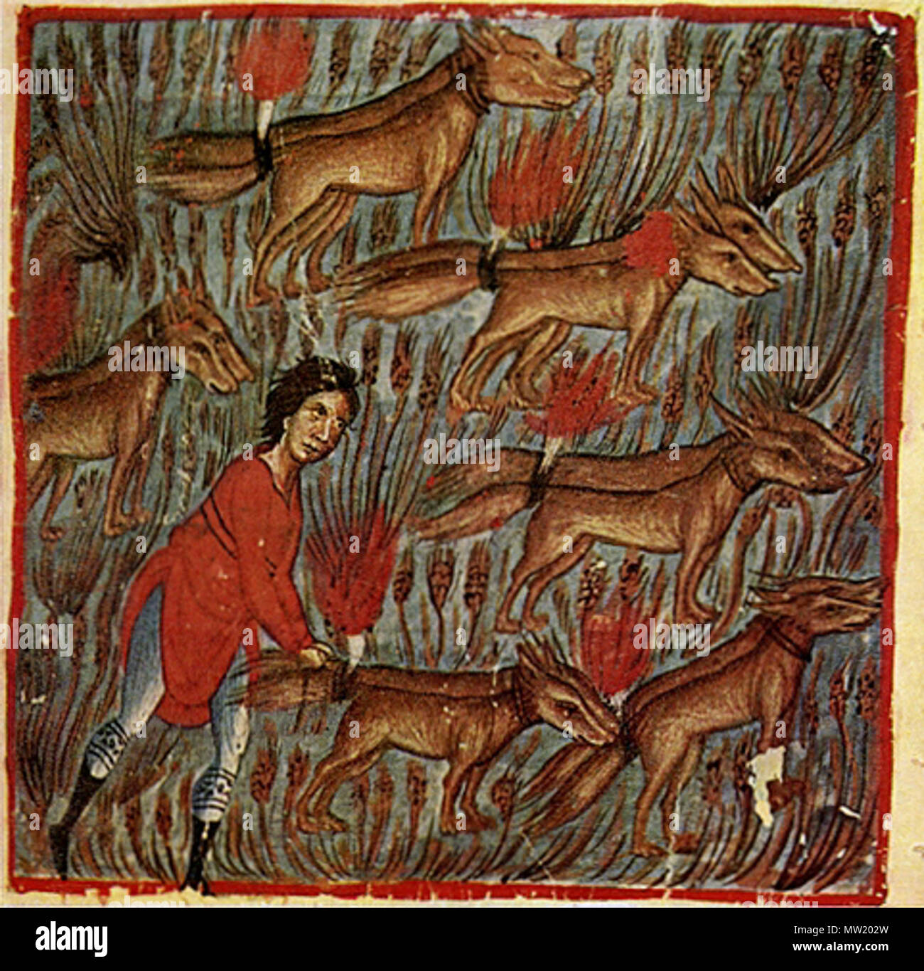 . English: Samson and the Foxes, miniature (Judges 15:1-8: 'Samson went ...