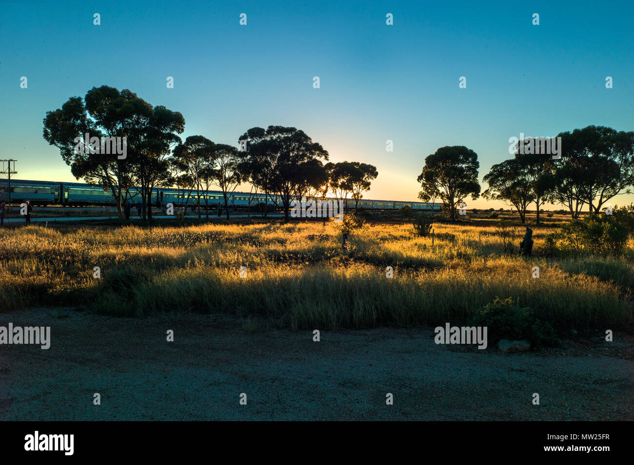 Nullabor plain hi-res stock photography and images - Alamy