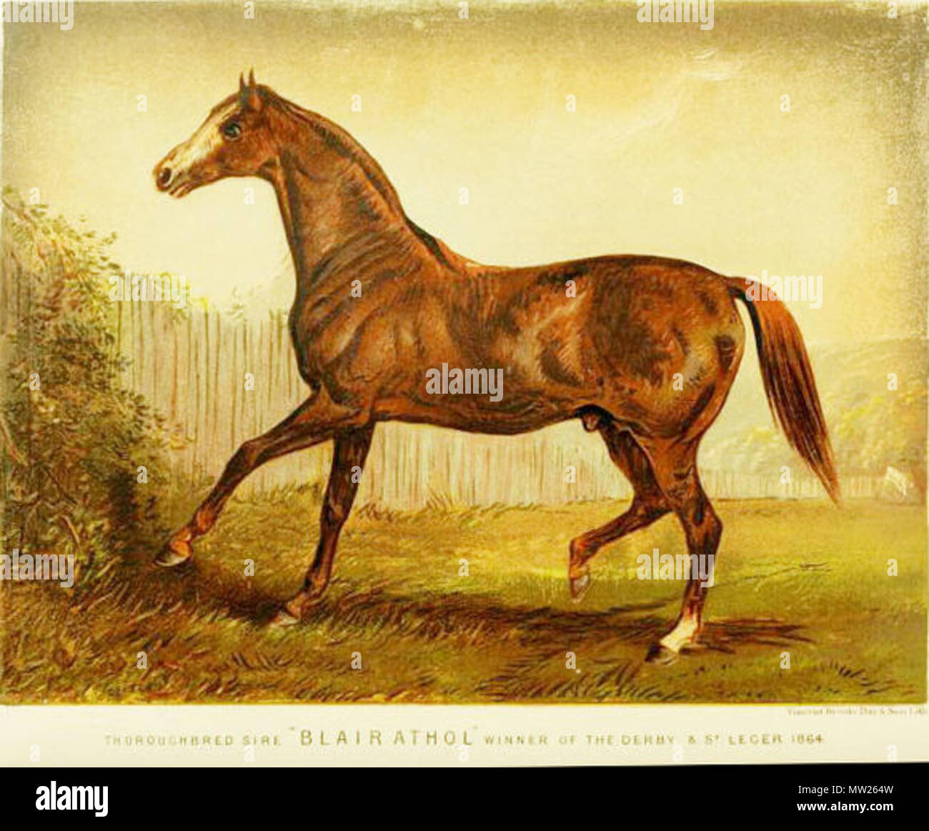 Epsom history hi-res stock photography and images - Alamy