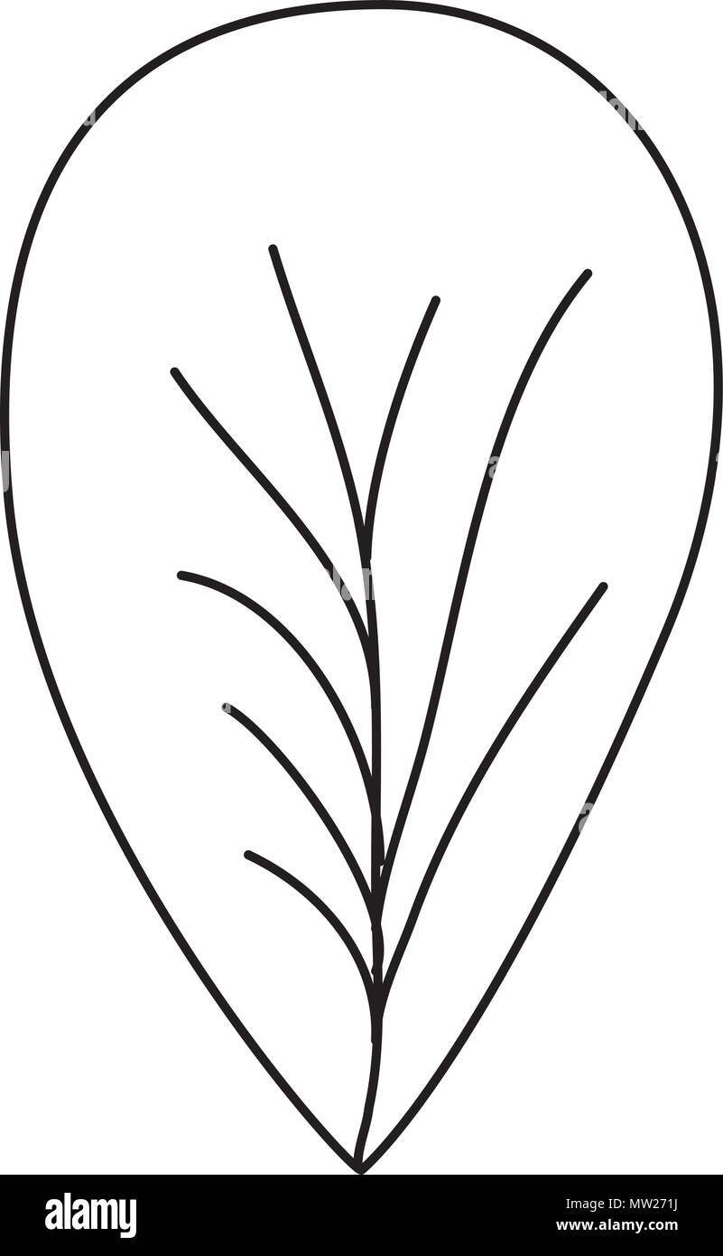 leaf single decorative icon Stock Vector Image & Art - Alamy