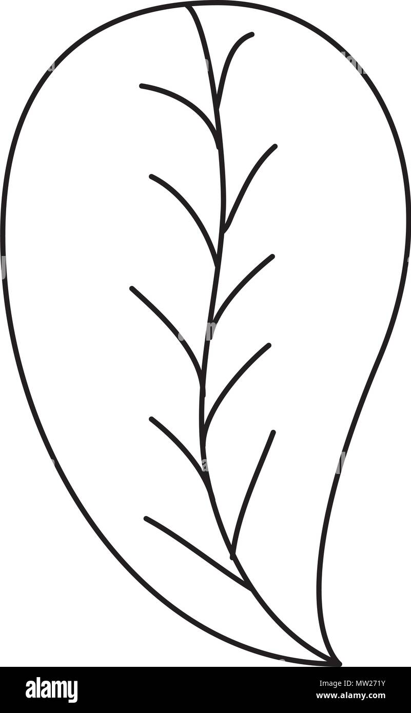 leaf single decorative icon Stock Vector Image & Art - Alamy