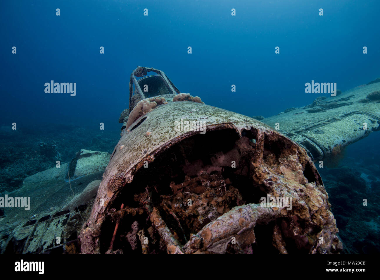 Jake seaplane hi-res stock photography and images - Alamy