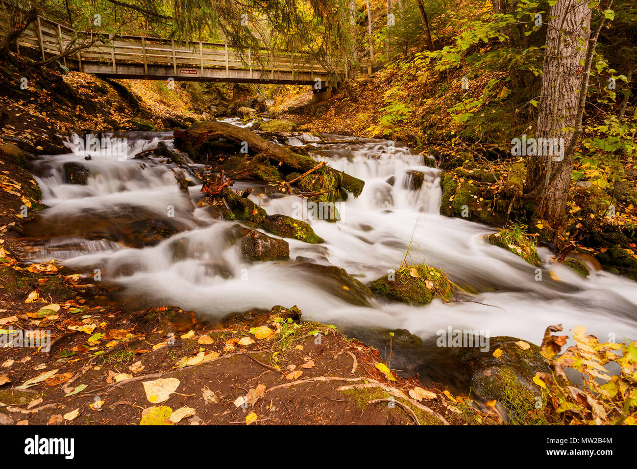 Autumn color along a small stream flowing under a foot bridge in a ...