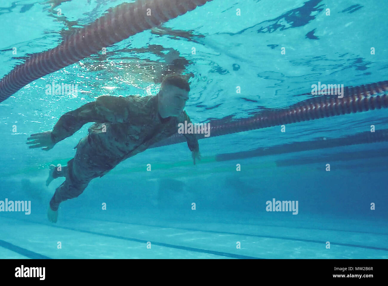 Soldiers complete the swim portion of the German Armed Forces Badge ...