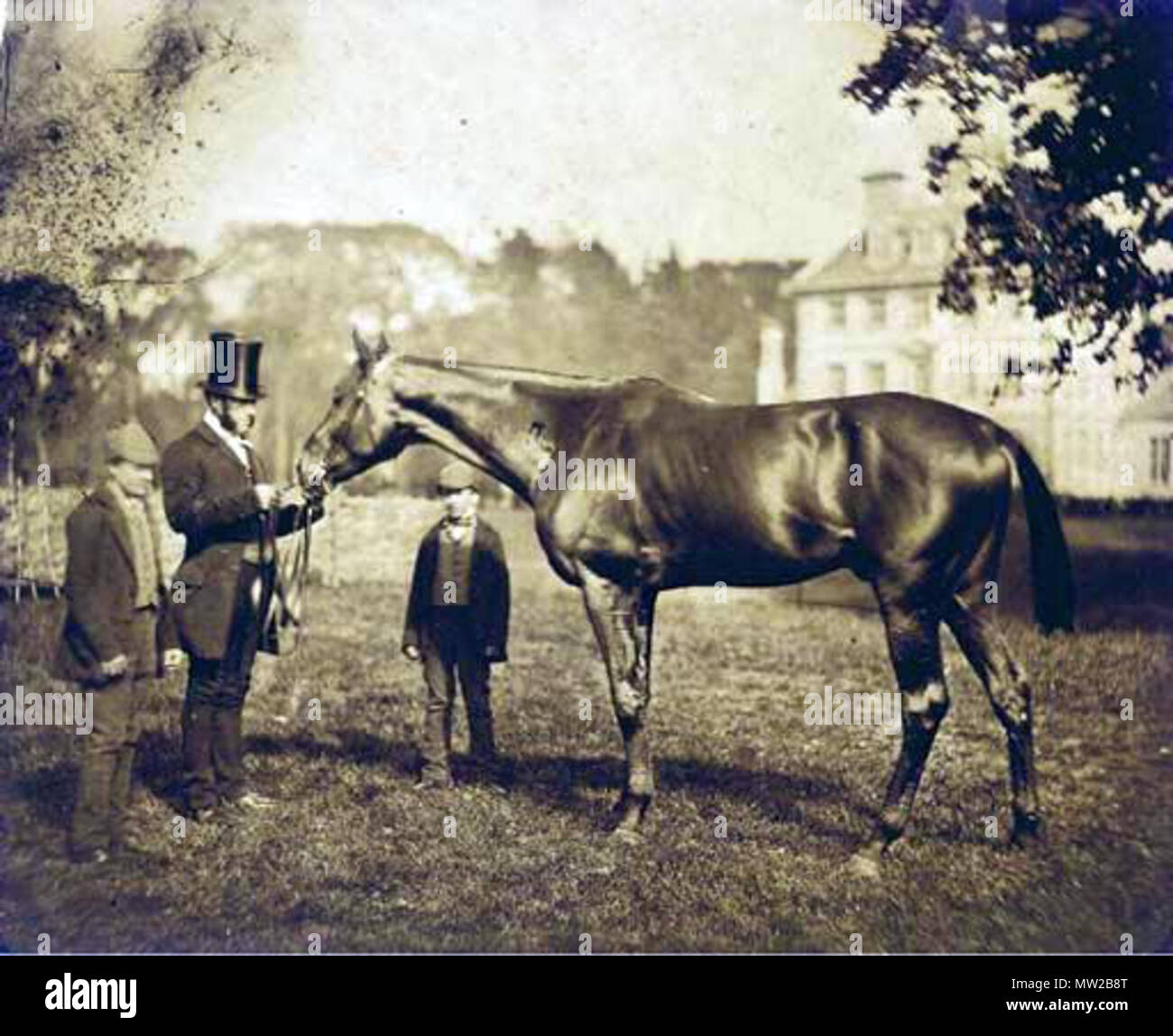 . English: Wild Dayrell, Thoroughbred racehorse and winner of the 1857 ...