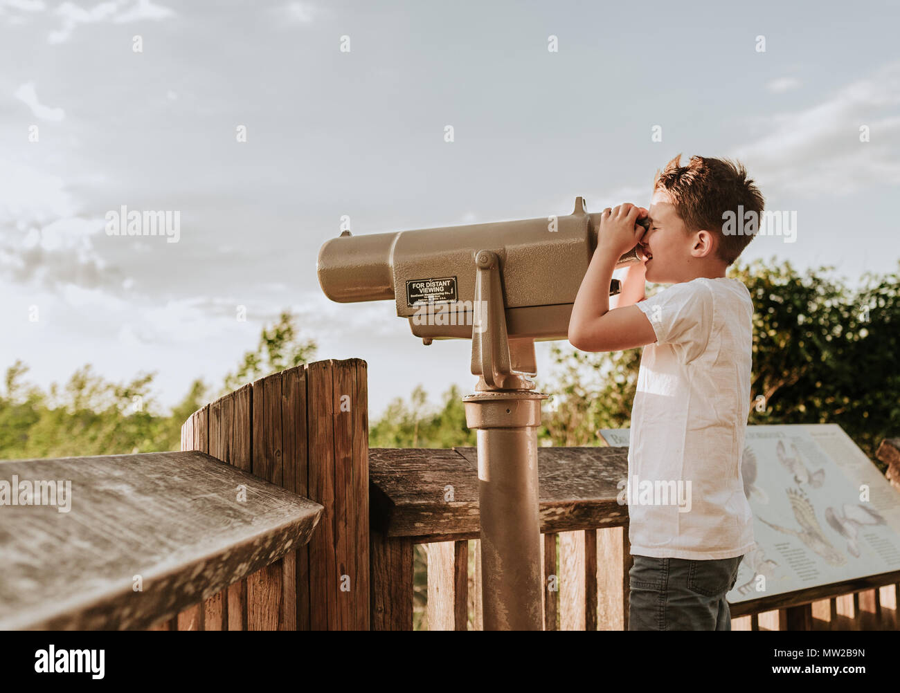 Boy birdwatching hi-res stock photography and images - Alamy