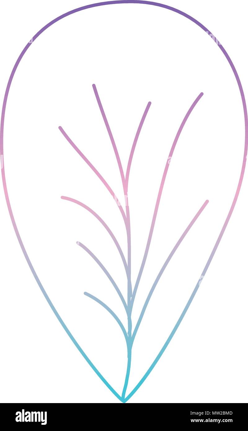 leaf single decorative icon Stock Vector Image & Art - Alamy
