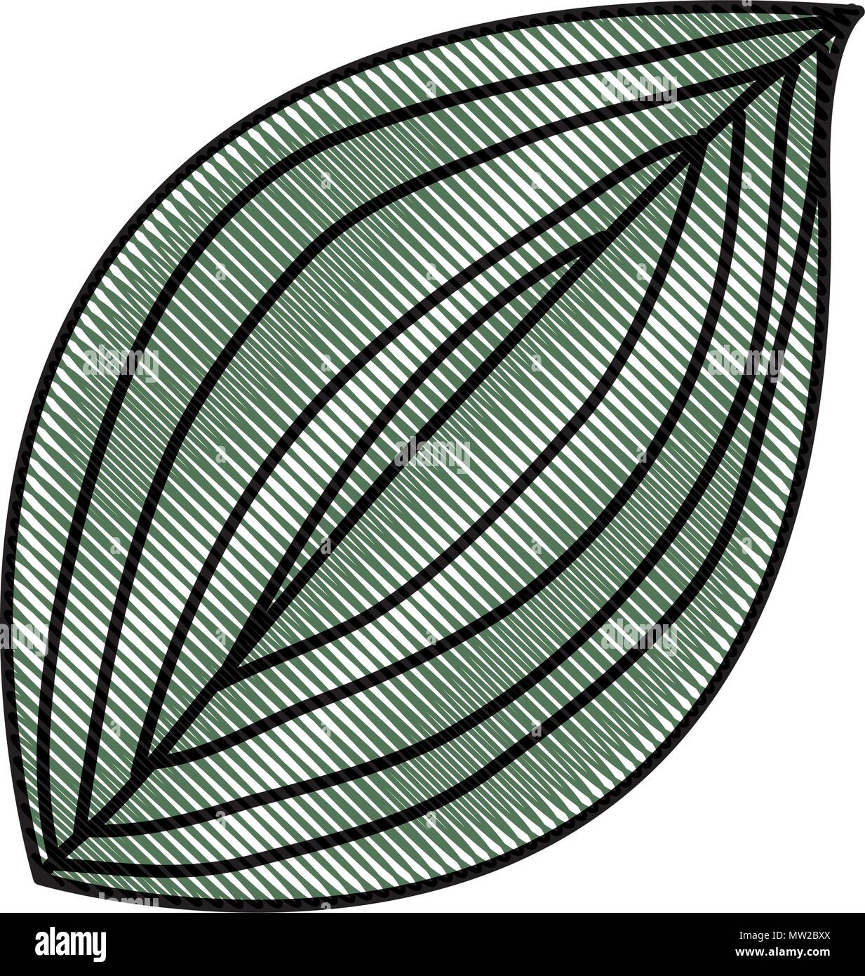 leaf single decorative icon Stock Vector Image & Art - Alamy