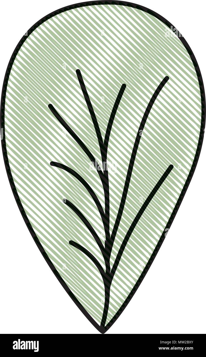 leaf single decorative icon Stock Vector Image & Art - Alamy