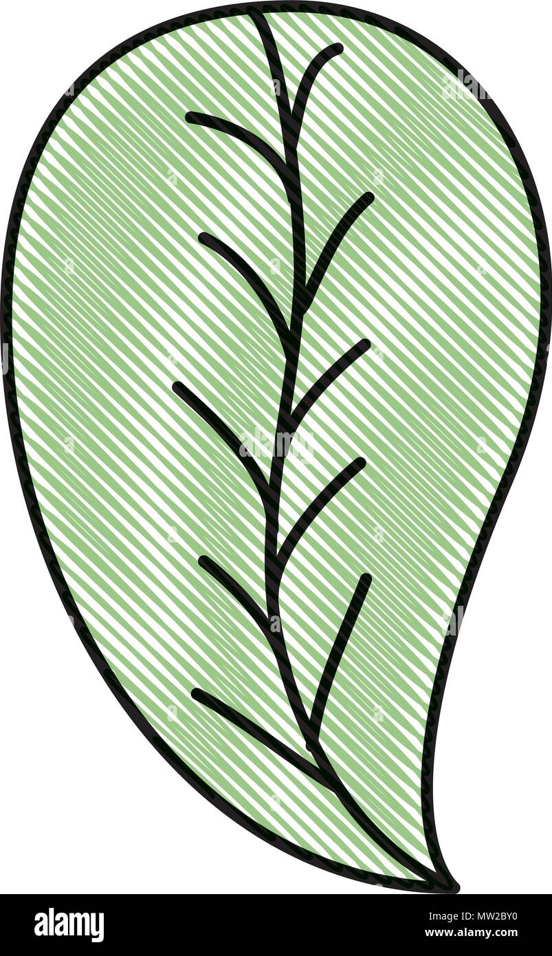 leaf single decorative icon Stock Vector Image & Art - Alamy