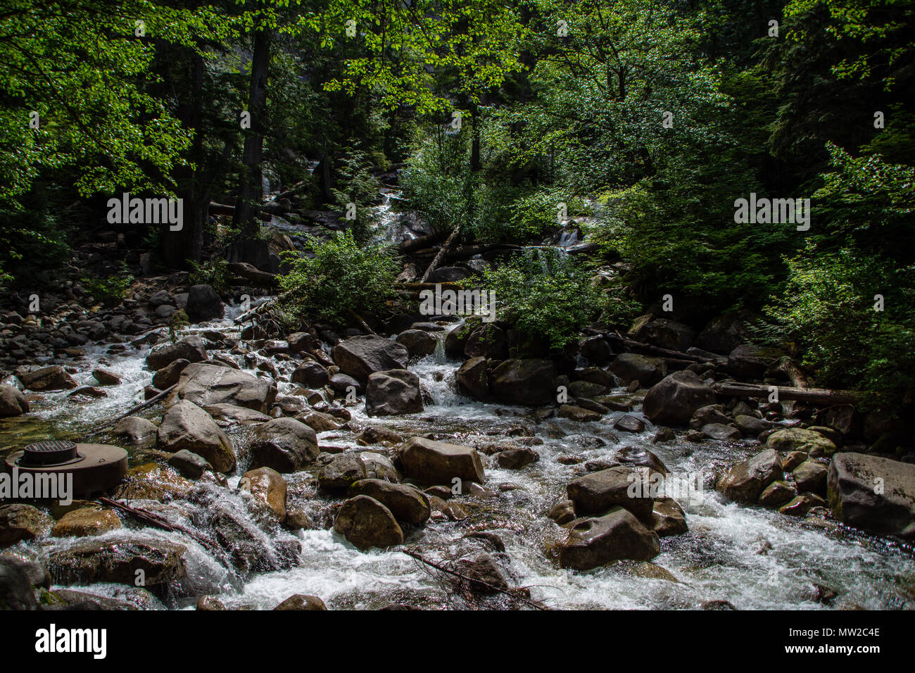 Shannon waterfall hi-res stock photography and images - Alamy